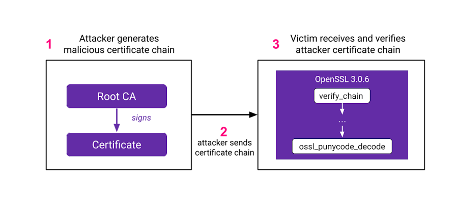 The Openssl Punycode Vulnerability Cve 2022 3602 Overview Detection Exploitation And